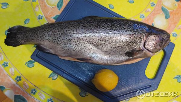 Отзыв о Форель карельская "Кала-Ранта" | Неделя Красной Рыбы...