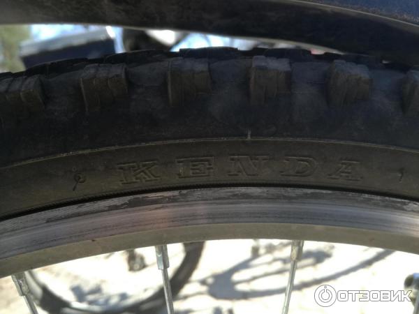 Отзыв о Женский велосипед Stels Miss 5000 V | не только хороший ...
