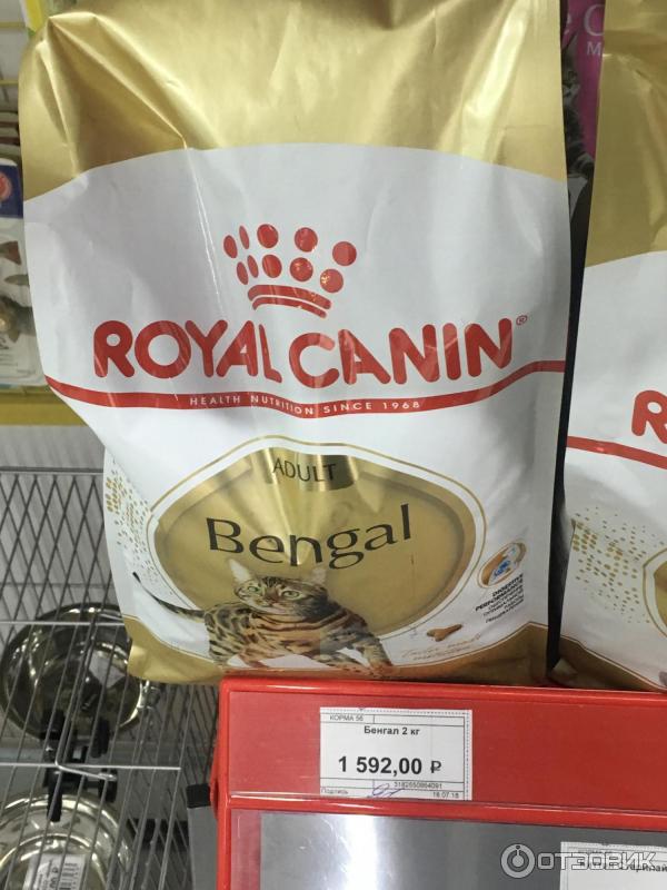 Отзыв о Сухой корм для бенгальских кошек Royal Canin Bengal Adult ...